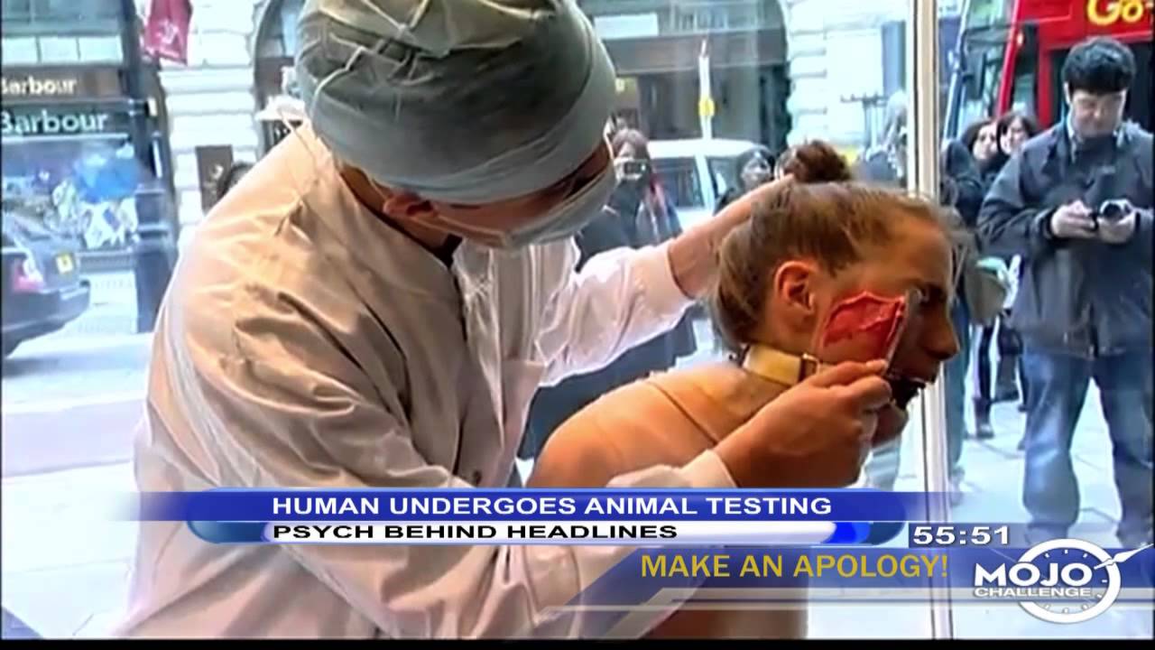 Human Undergoes Animal Testing Youtube