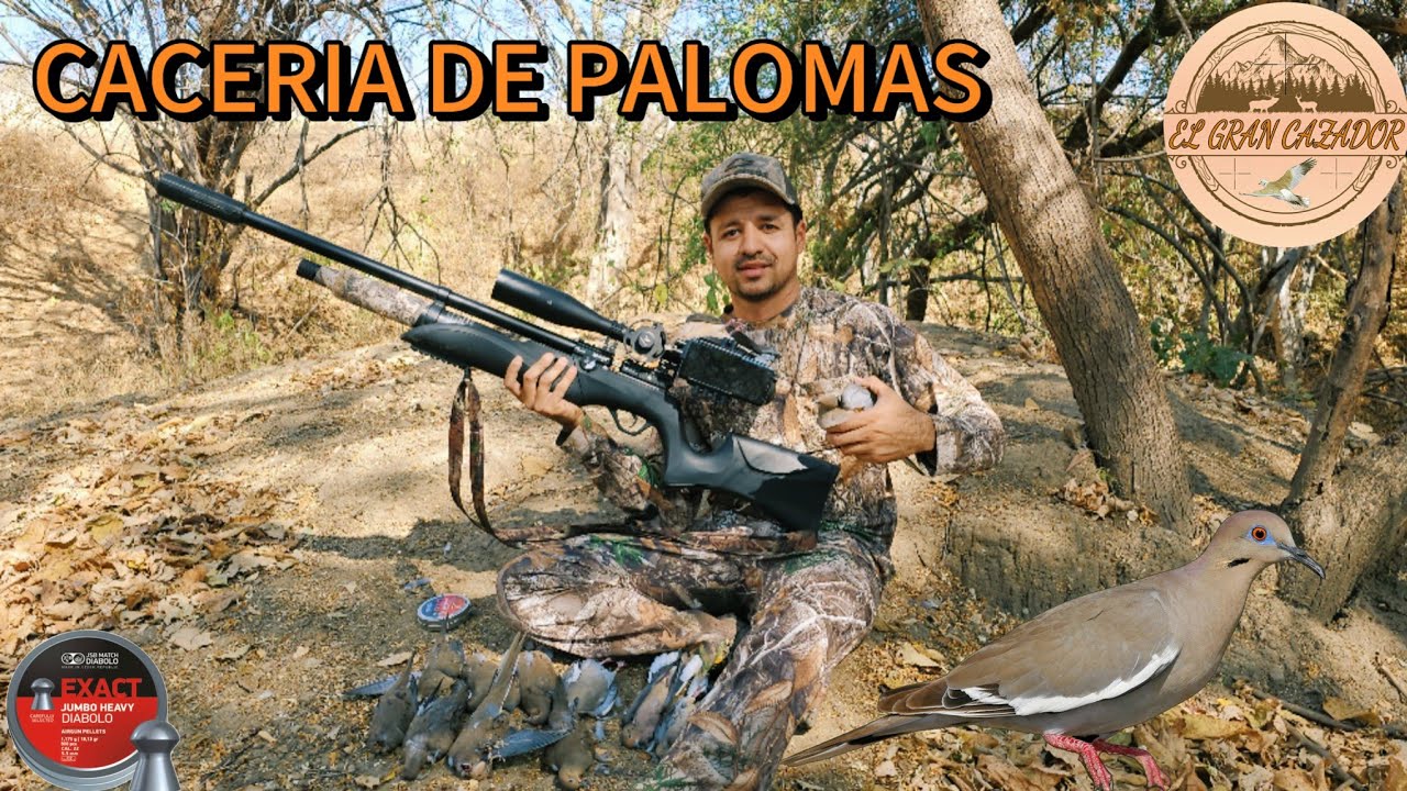 El Mejor Rifle De Aire Para La Caceria En Calibre 5 5 Youtube