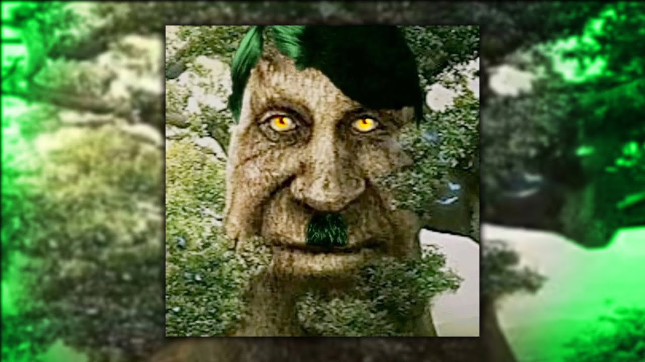 Wise Mystical Tree Tik Tok Memes мудрое мистическое дерево мем