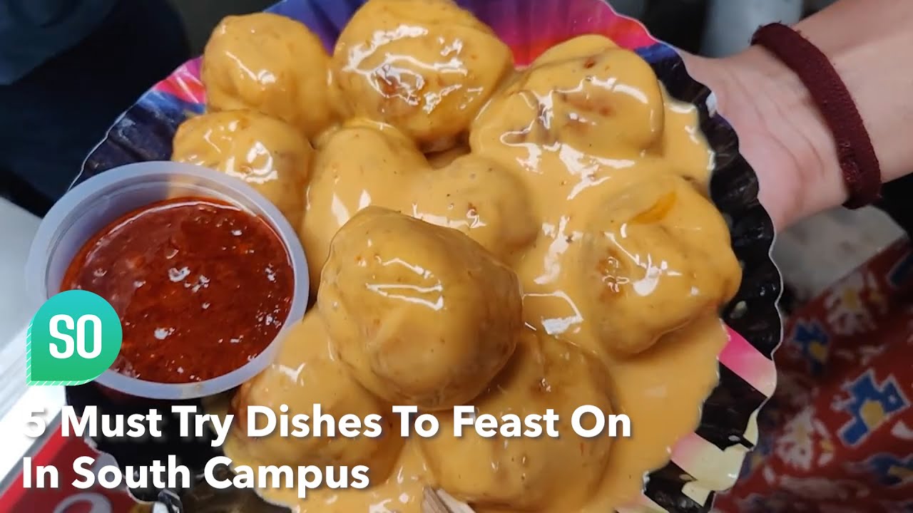 5 Must Try Dishes To Feast On In South Campus So Delhi Youtube