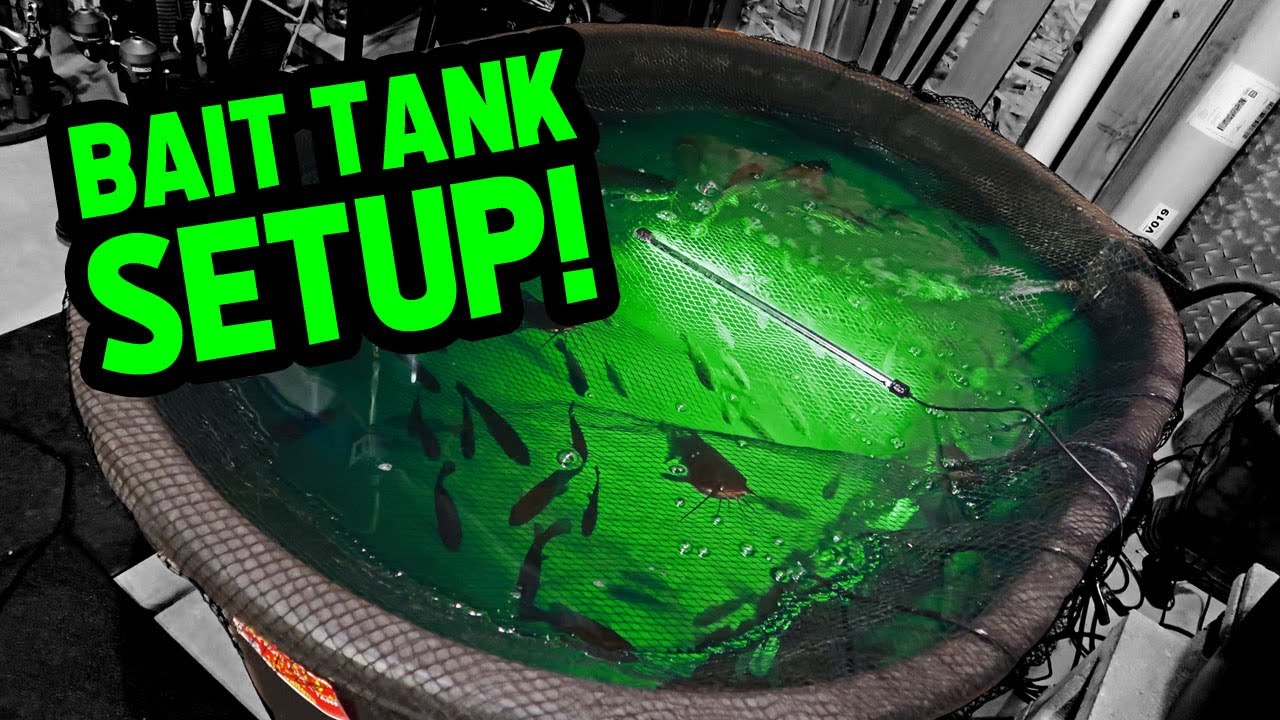 Bait Tank Setup Youtube