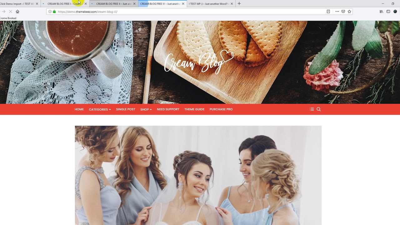 How To Use Themebeez Toolkit Youtube