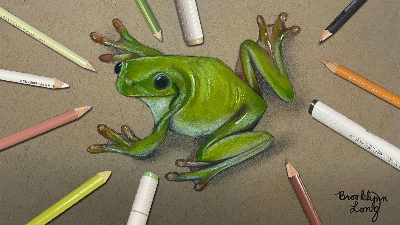 Drawing A Tree Frog Time Lapse Youtube