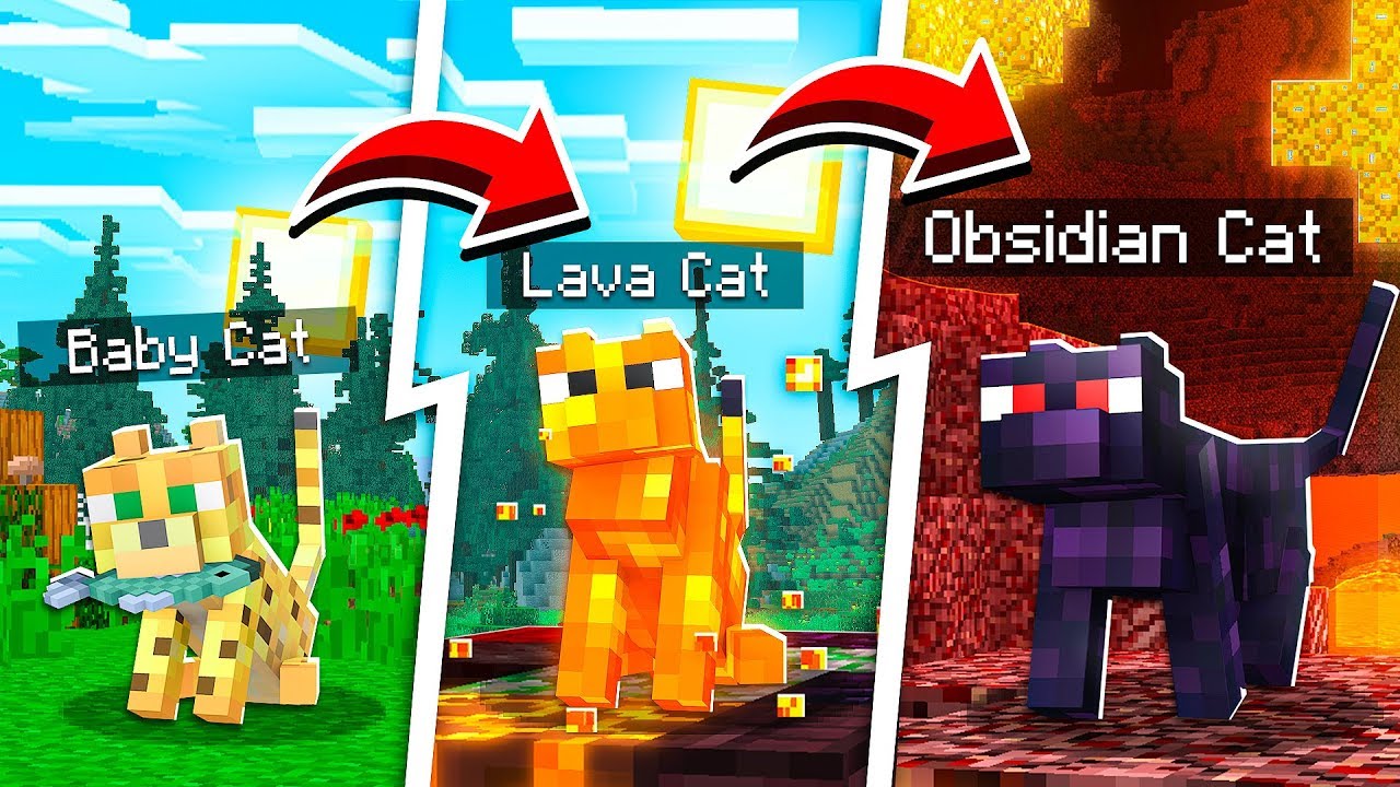 Life Of The Worlds Rarest Minecraft Cat Pet Youtube