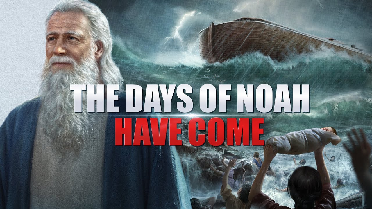 One Year Later Noah The Dissolve