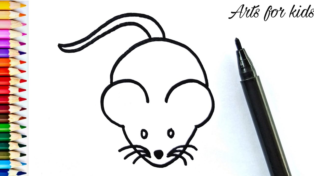 How To Draw A Rat Easy Drawing For Kids Youtube