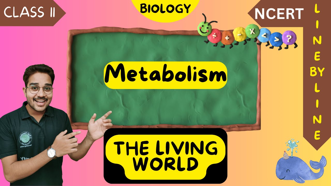 Metabolism The Living World Class 11 Biology Chapter 1 Ncert Cbse
