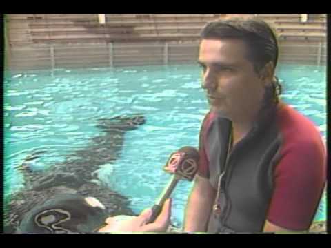 Mike Randall Feature Whales 1987 Youtube