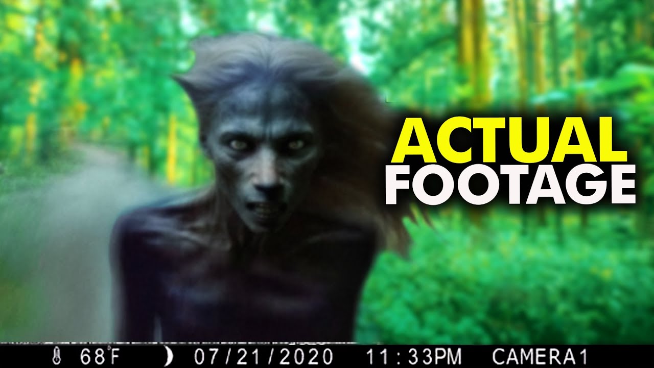Terrifying Trail Cam Footage You Need To See Youtube