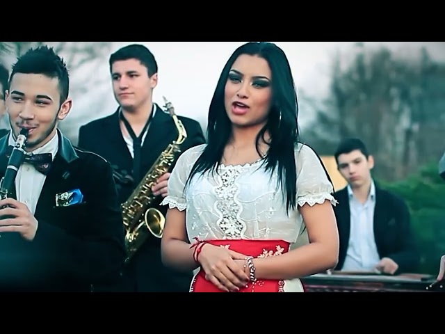 Muzica de petrecere cea mai buna Cele mai noi piese de petrecere
