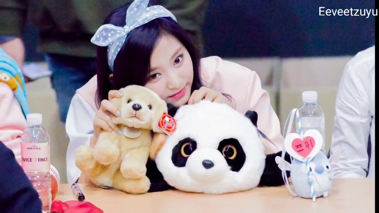 Twice Tzuyu Cute Moments 可愛的子懵 Youtube