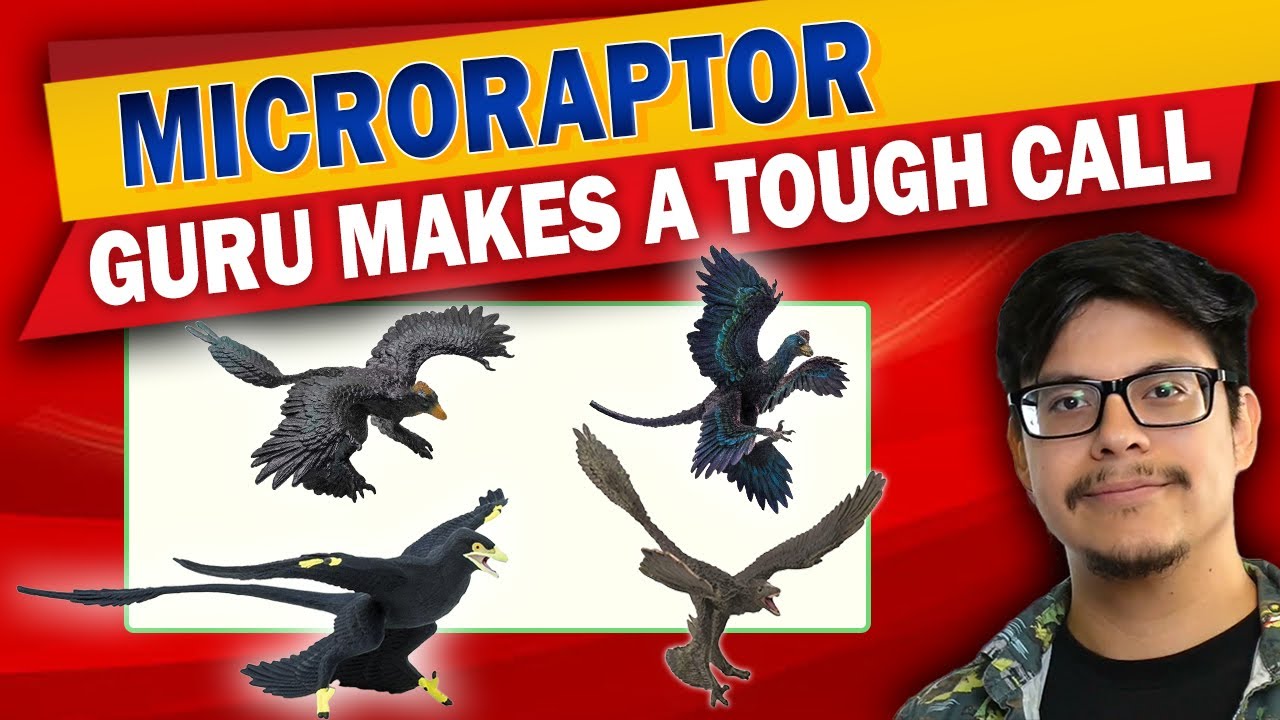Microraptor Paleontologist Judges A Close Contest For The Best Ep