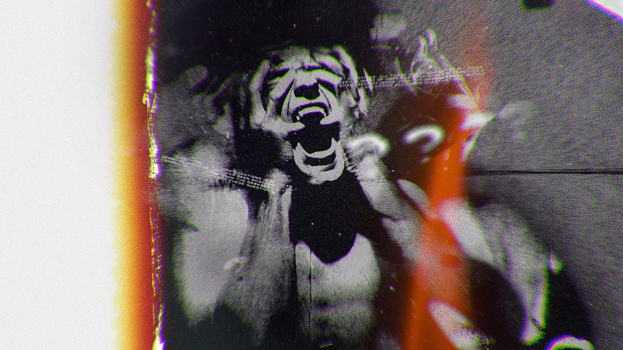 Chapter V Questions Youtube