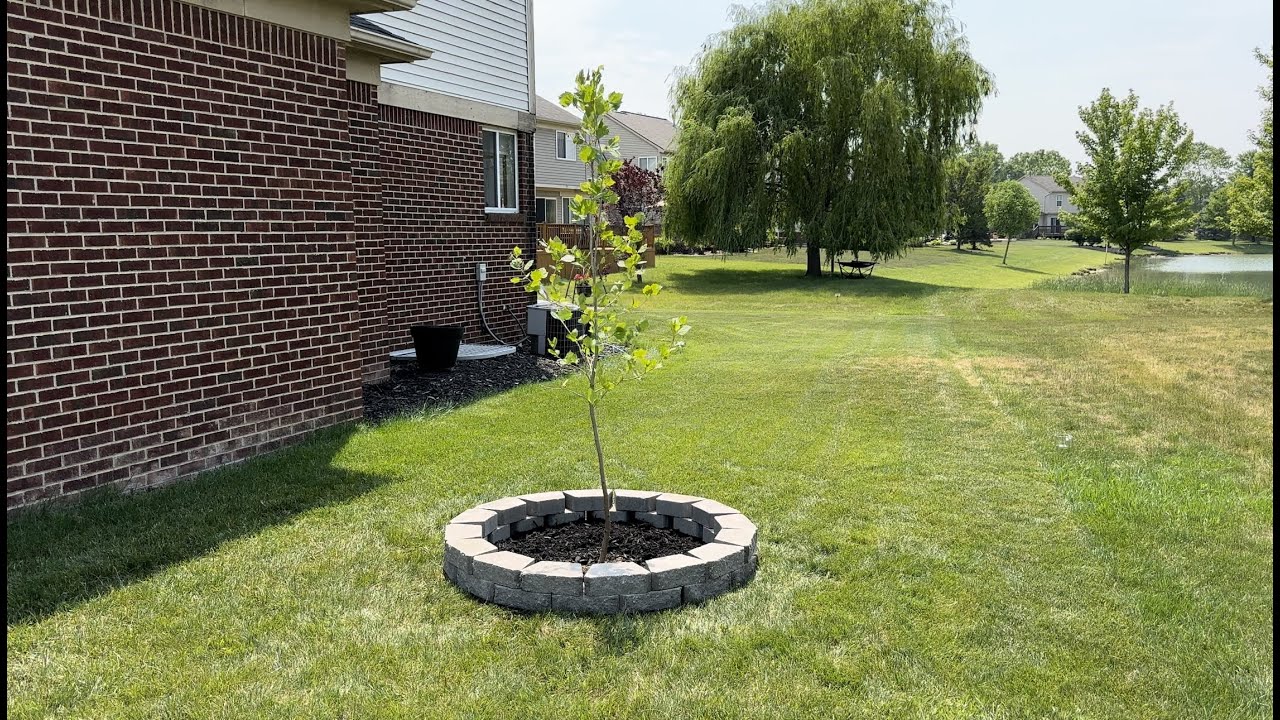 Pavertrax How To Build A Paver Tree Ring In Less Than 10 Minutes