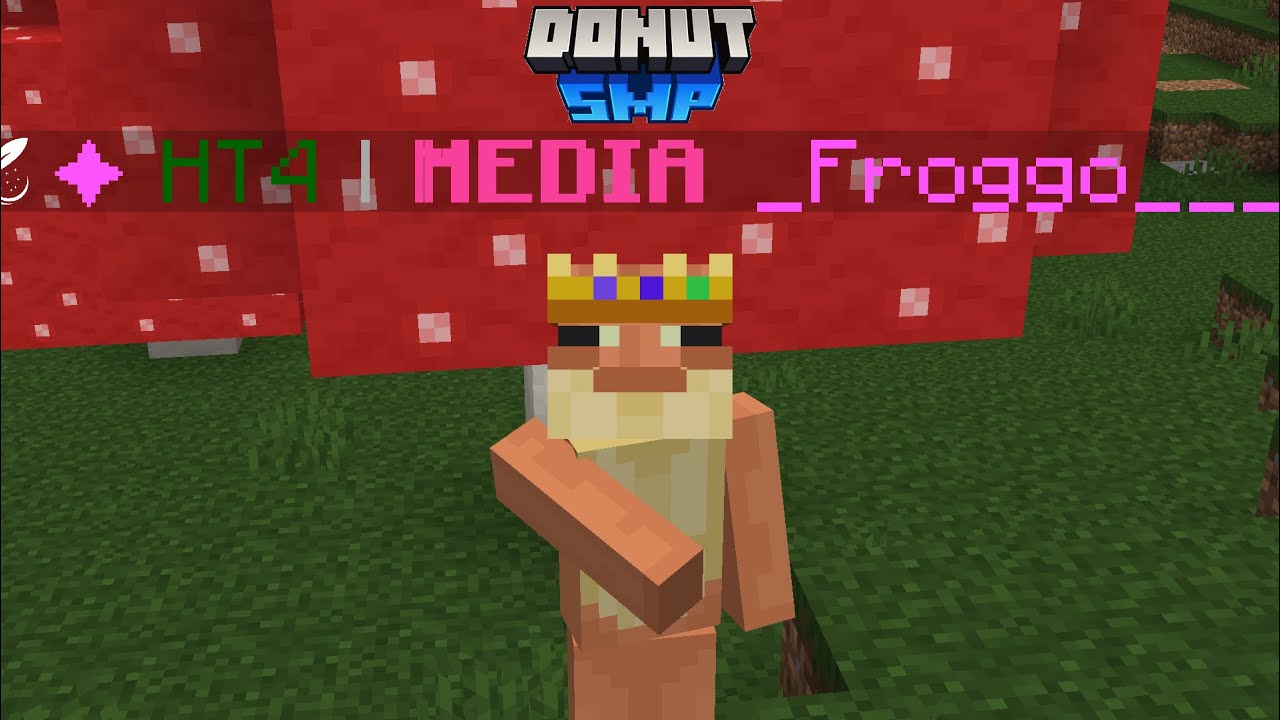 Donut Smp Live Rating Bases Youtube