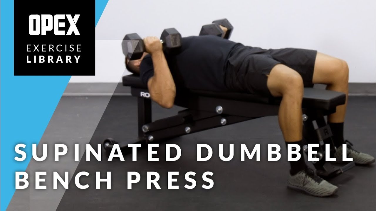 Supinated Dumbbell Bench Press Opex Exercise Library Youtube