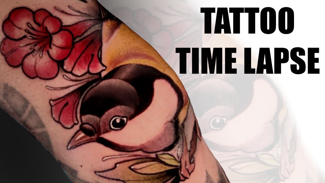 Tattoo Time Lapse Neotraditional Bird Tattoo Youtube