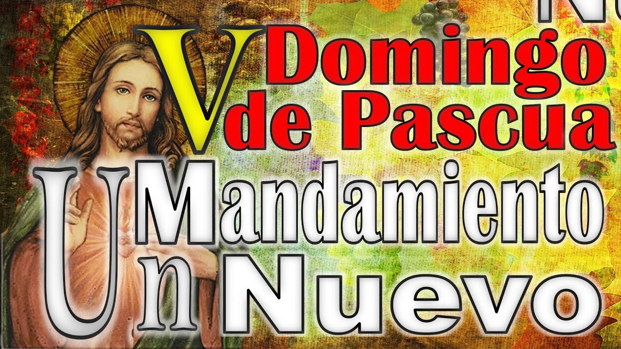 Un Mandamiento Nuevo Canto Y Letra Youtube