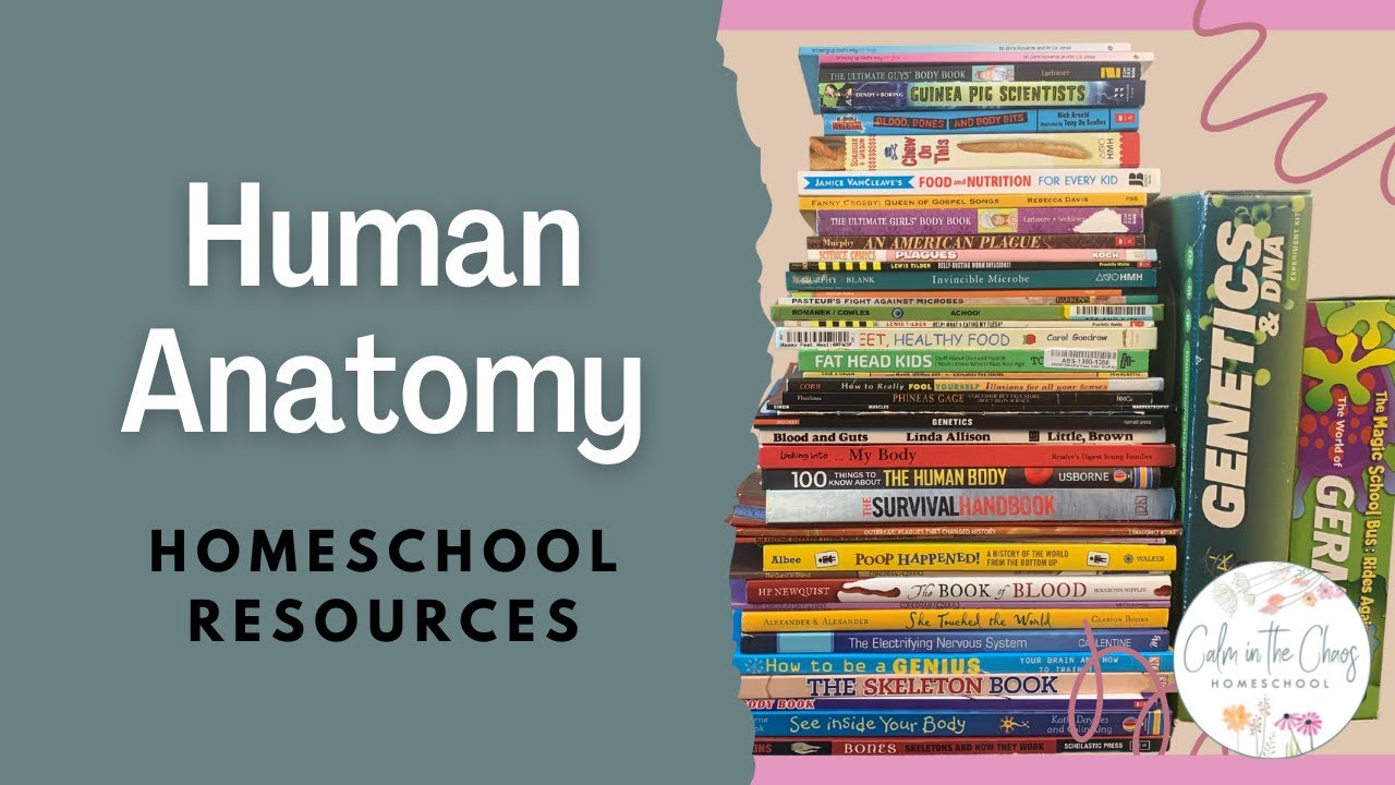 Human Anatomy Homeschool Resources Guest Hollow S Junior Anatomy Flip