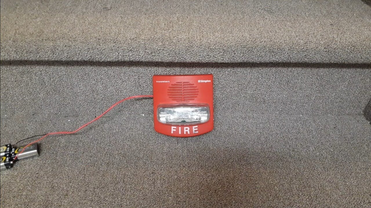 Ent Strobe Test At Lola Epperson Blog