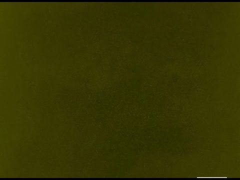 Kendrick Lamar Untitled 02 Lyrics