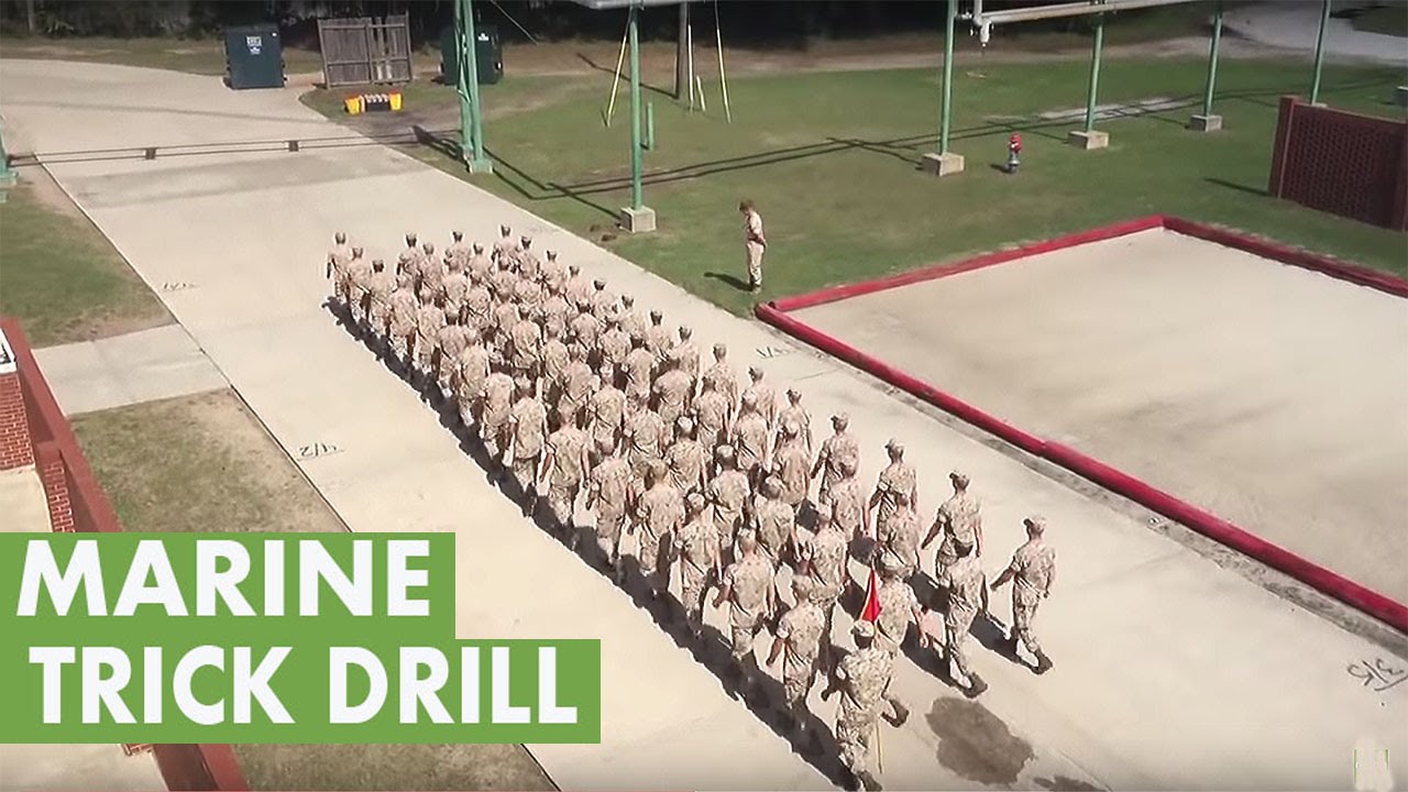 Platoon Of Marines Perform Trick Drill Youtube