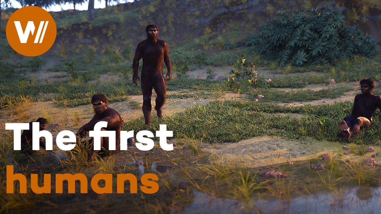 How Did Humankind Emerge On The Trail Of The First Human At Kromdraai