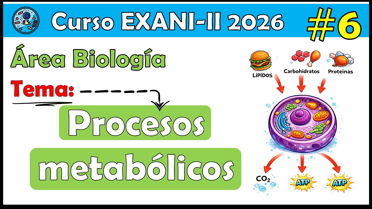 Curso Exani Ii 2026 Biología Procesos Metabólicos 6 Youtube