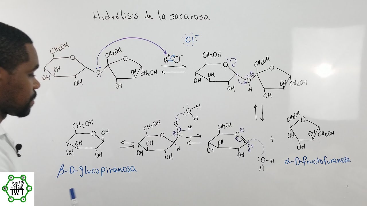 Sacarosa Formula
