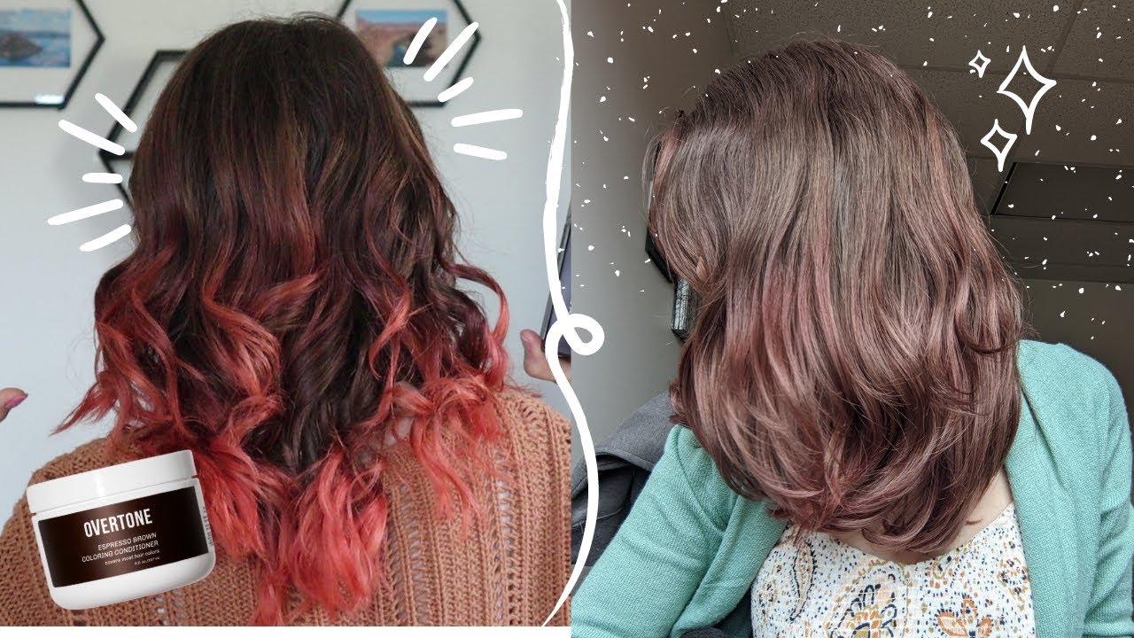 Overtone Chocolate Brown Vs Espresso Brown