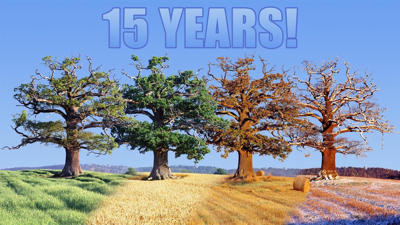 Tree Growing Time Lapse 10 Years At Carla Apgar Blog