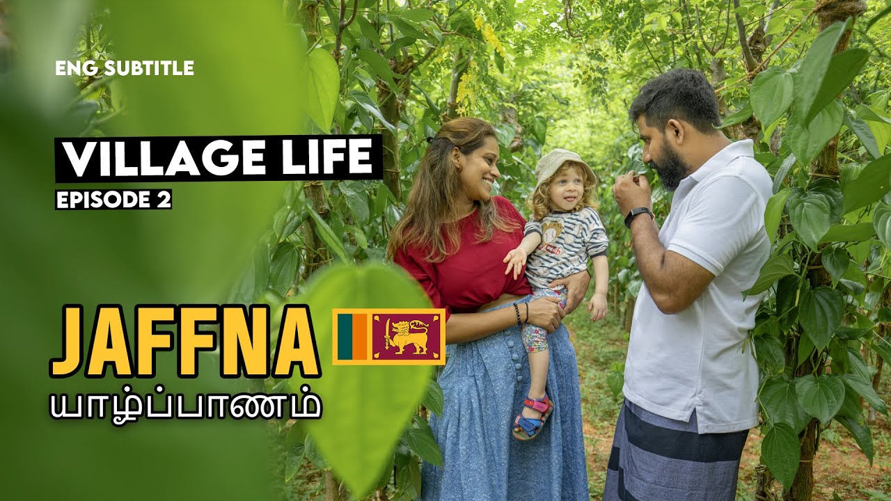 Village Life In Jaffna Ep 2 Eng Sub Youtube