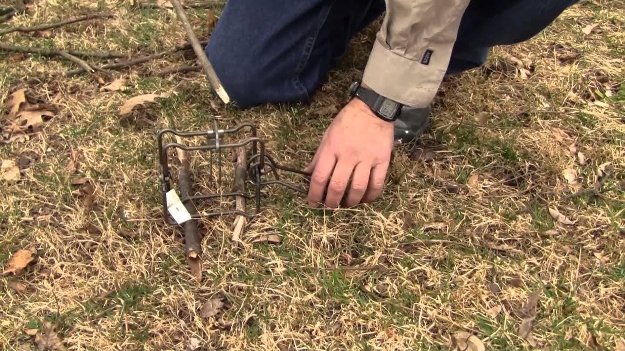How To Set Up A 110 Conibear Trap Equip 2 Endure Youtube