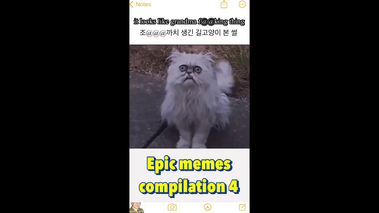 Epic Memes Compilation 4 공감 Relatable 일상 Daily 유머 Funny 코미디