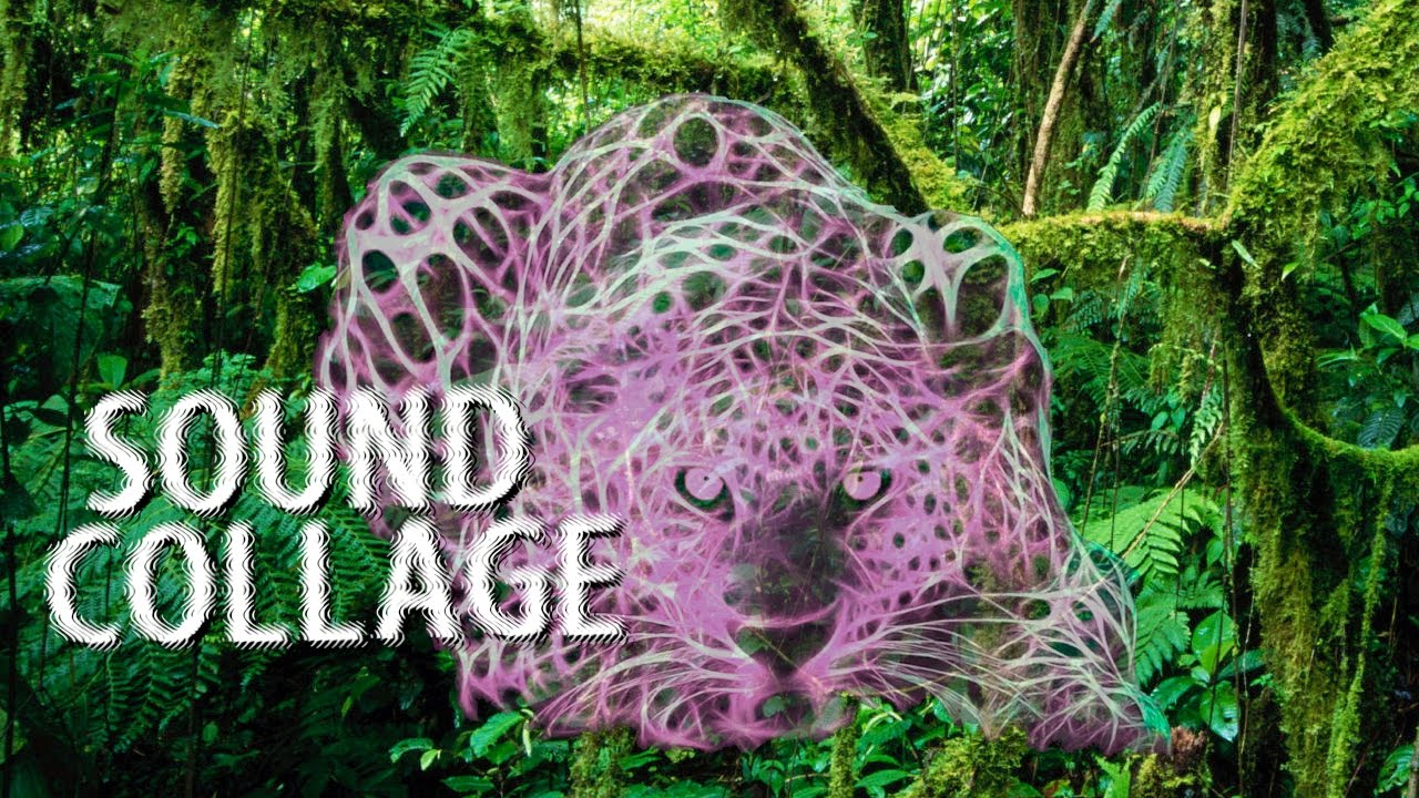 Psychedelic Jungle Youtube