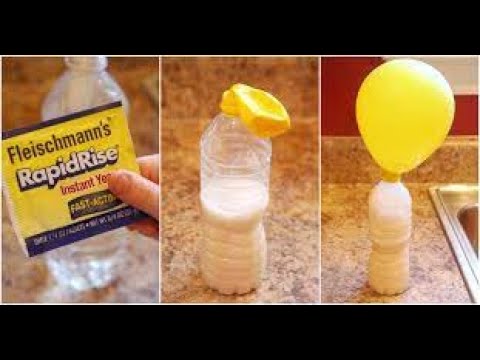 Yeast And Balloon Experiment Anaerobic Respiration Youtube
