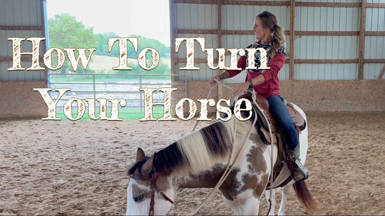 Lesson 3 How To Turn Your Horse Youtube