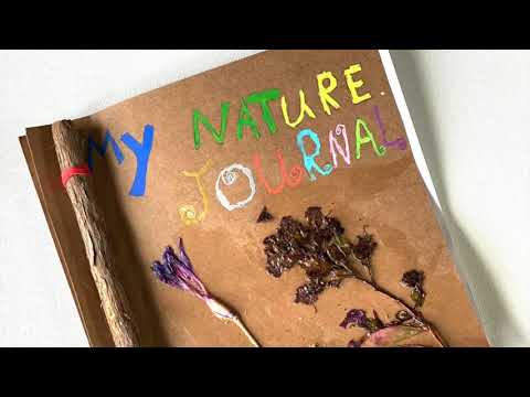 Curiosity Kids Nature Journal Entry Youtube