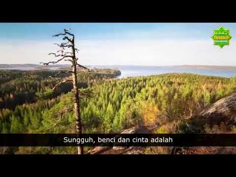 Berlaku Adillah Dalam Benci Cinta Youtube