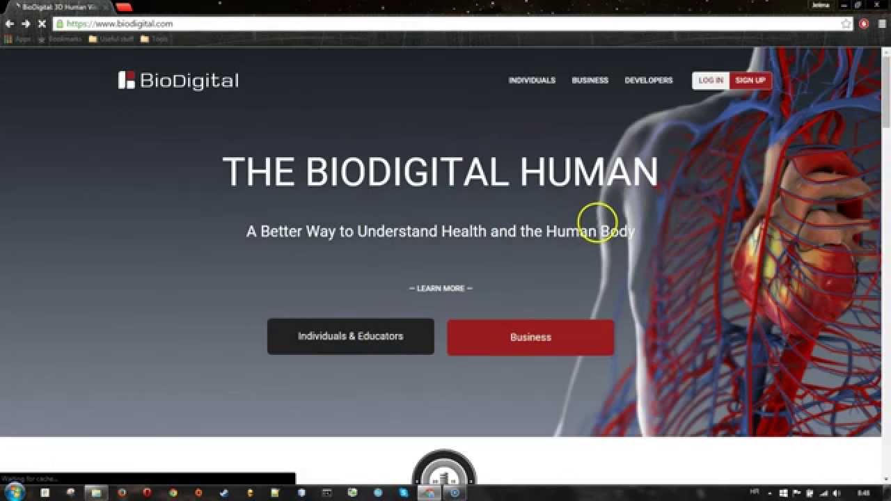 Biodigital Human Tutorial Part 1 Youtube