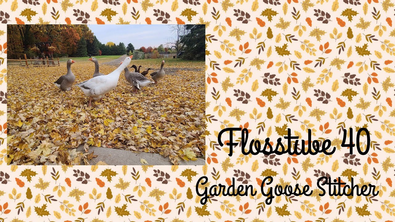 Flosstube 40 Youtube