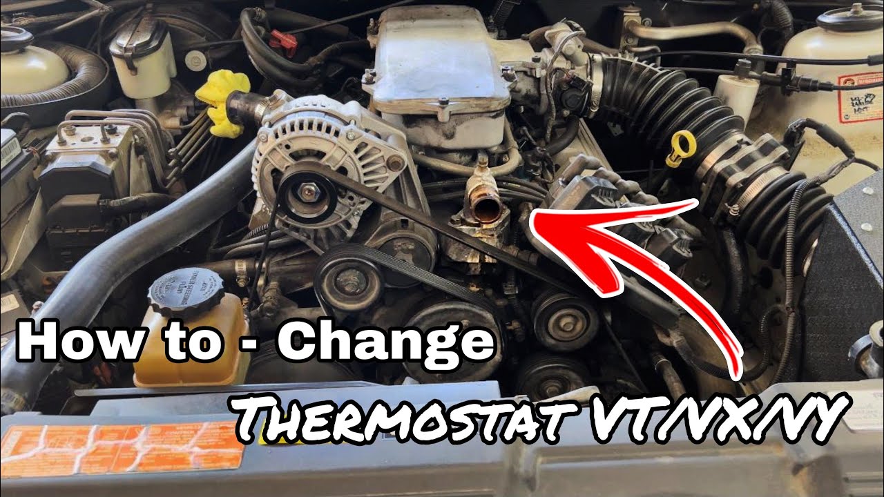 Thermostat Replacement Ve Commodore At Robert Lindsay Blog