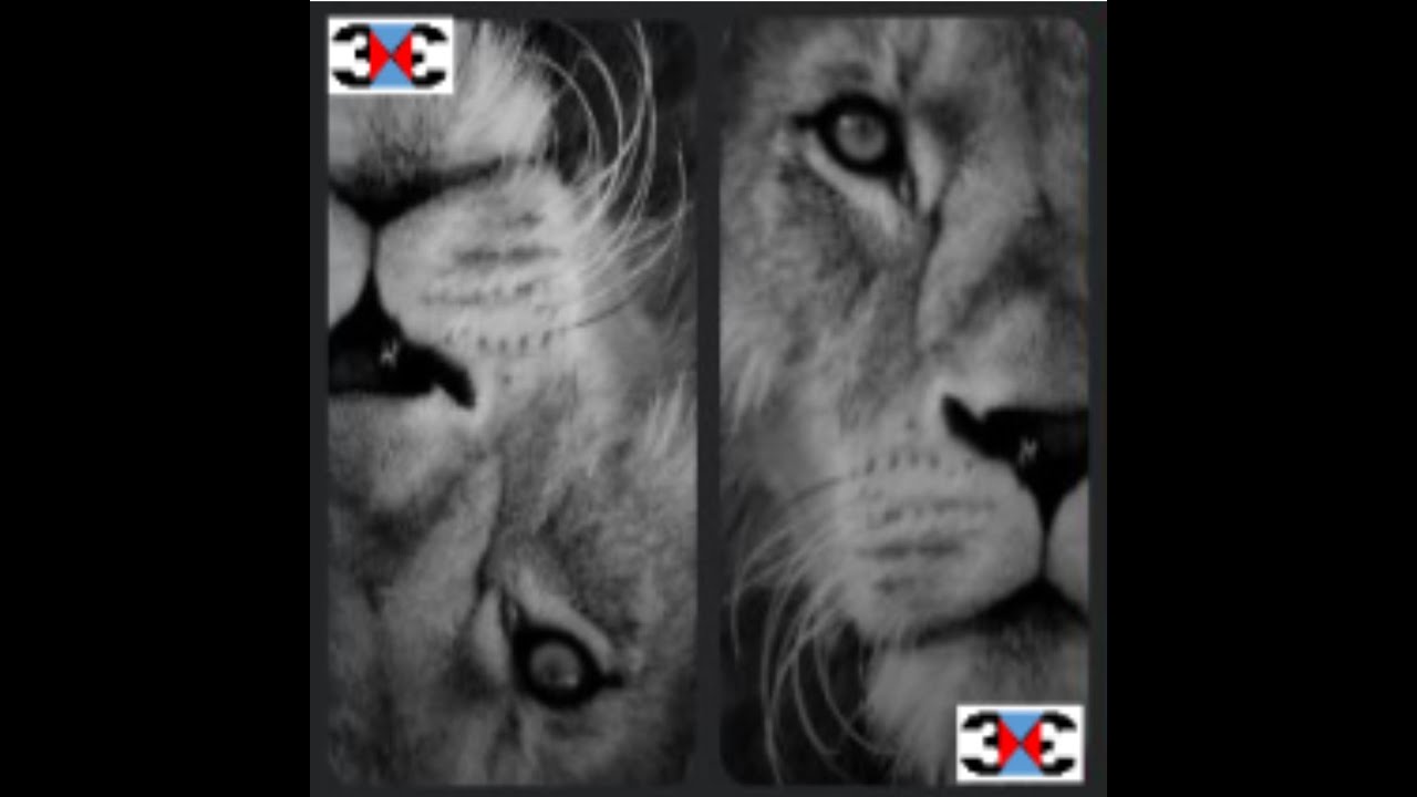 Section 5 1 Understanding Standard Deviation Youtube Music