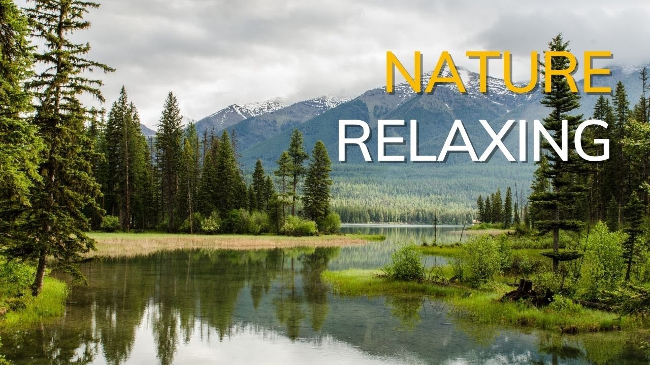 Forest River Nature Sounds Gentle Stream Sleeping Sound Youtube