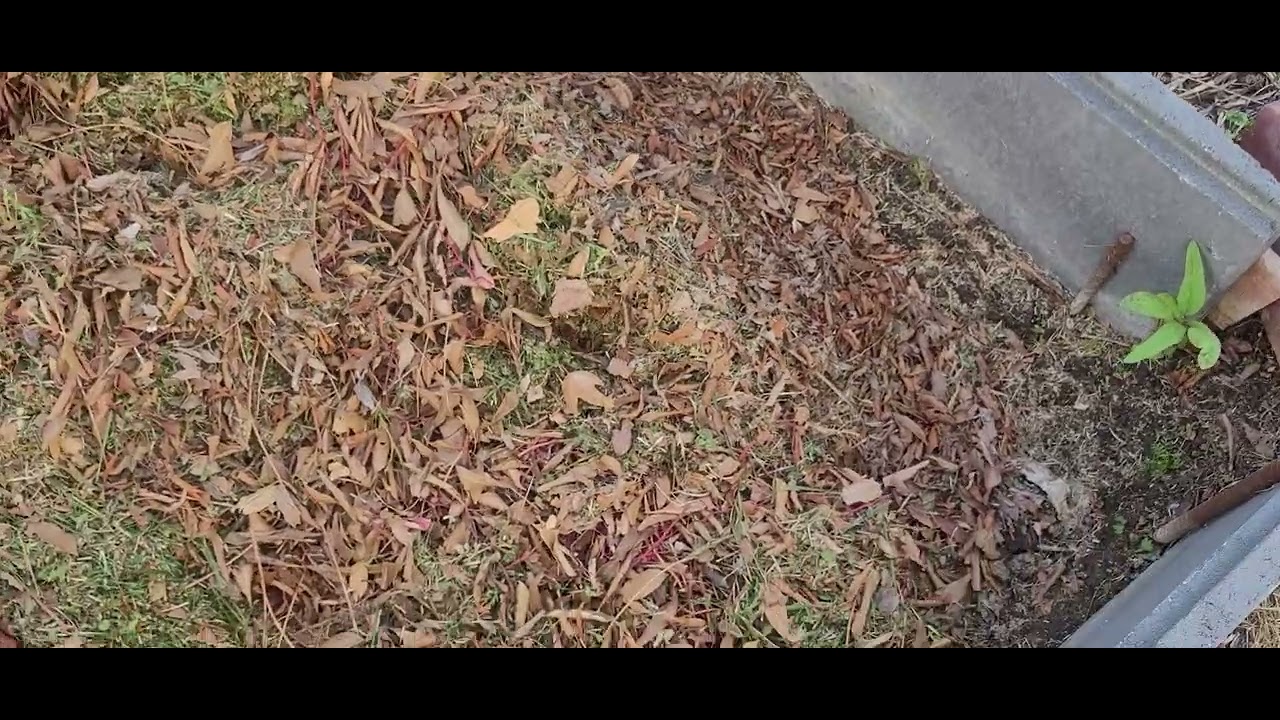Compost Youtube