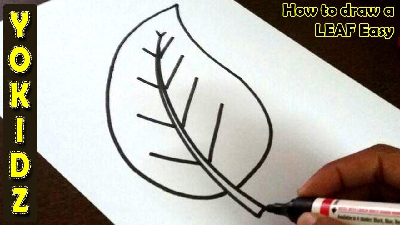 How To Draw A Leaf Easy Youtube