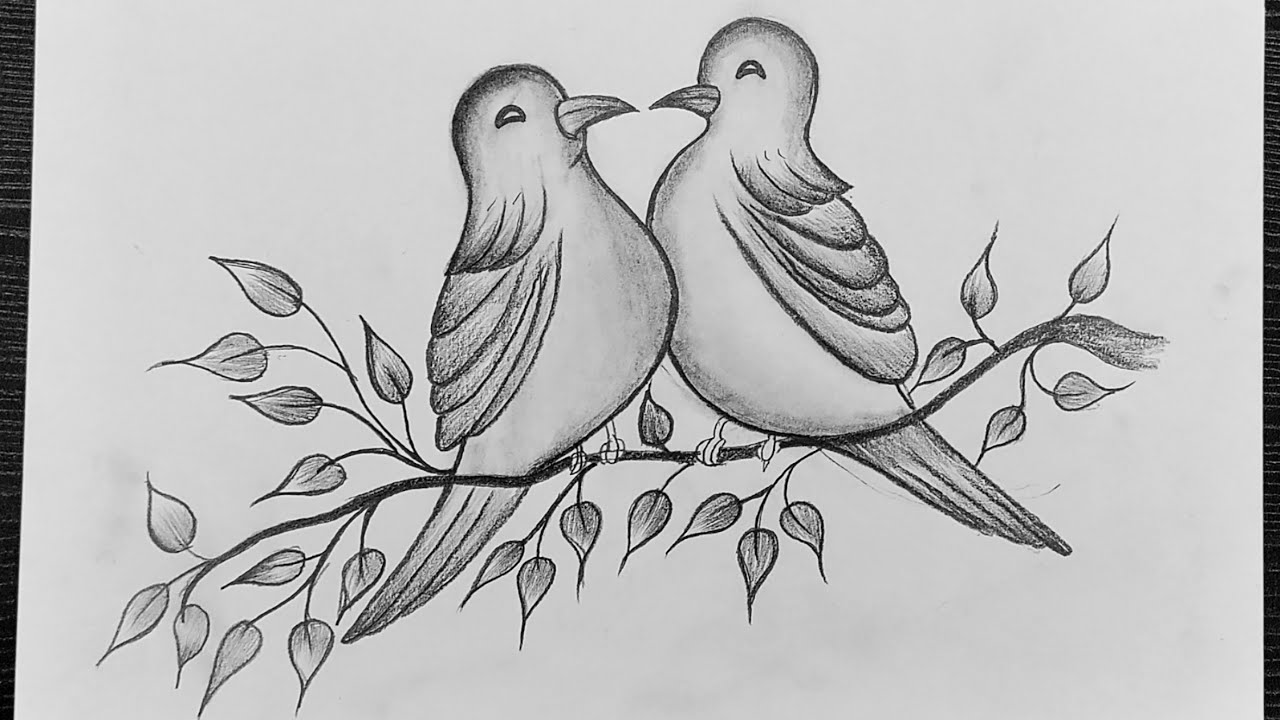 Pencil Sketch Of Love Birds