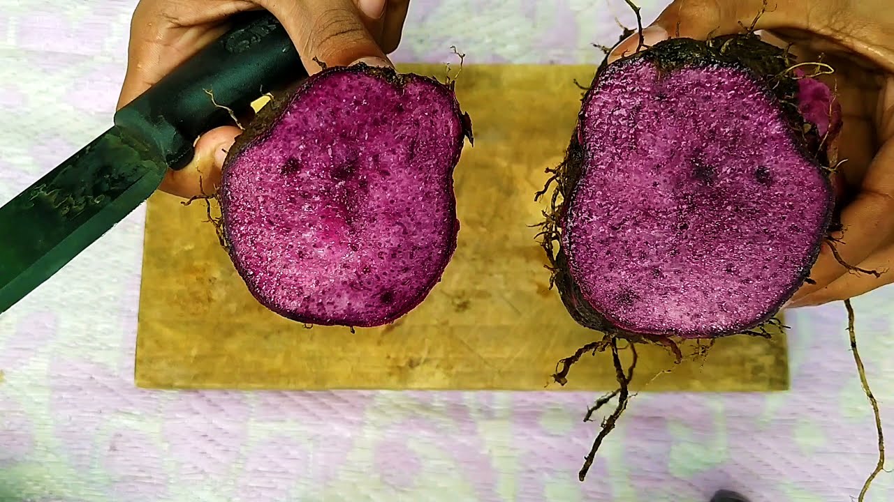 How To Make Raja Ala Raja Ala Raja Ala Recipe Dandina Ala Recipe