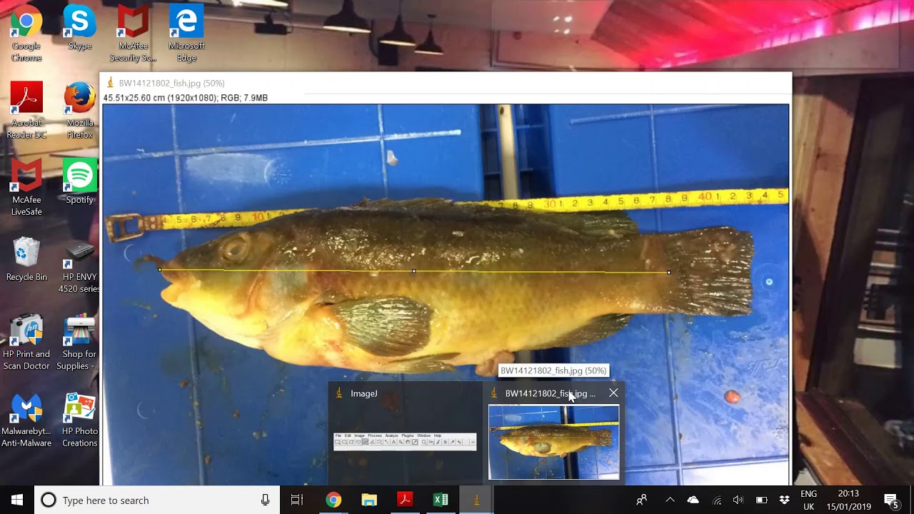 Morphometric Walkthrough Youtube