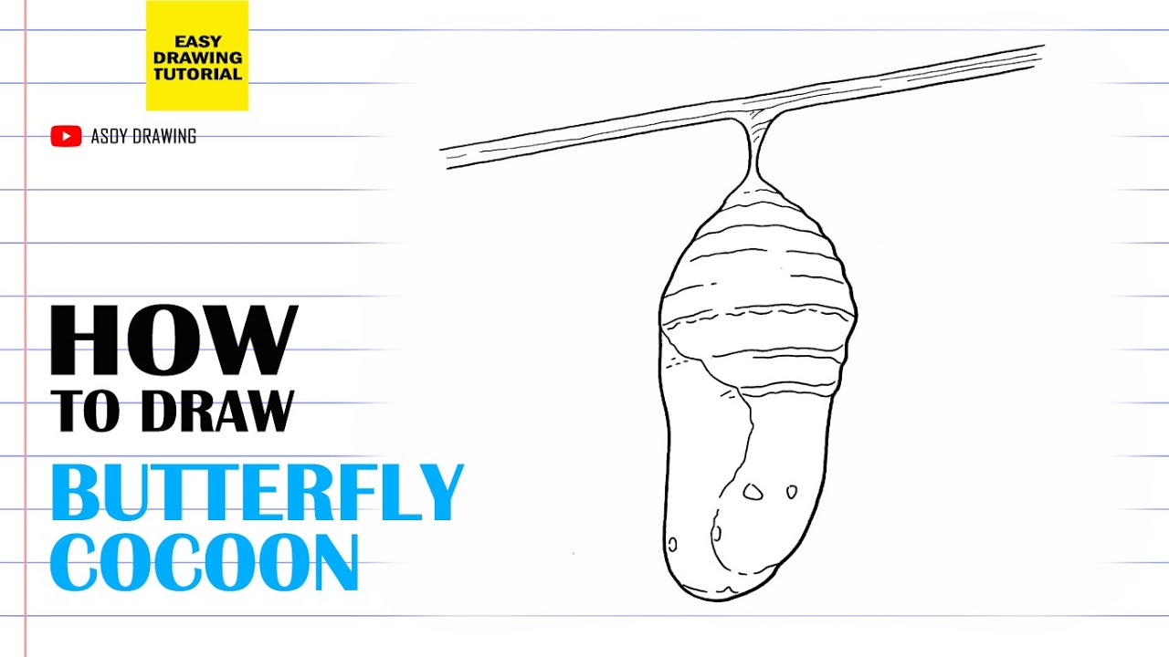 How To Draw Butterfly Cocoon Easy Youtube
